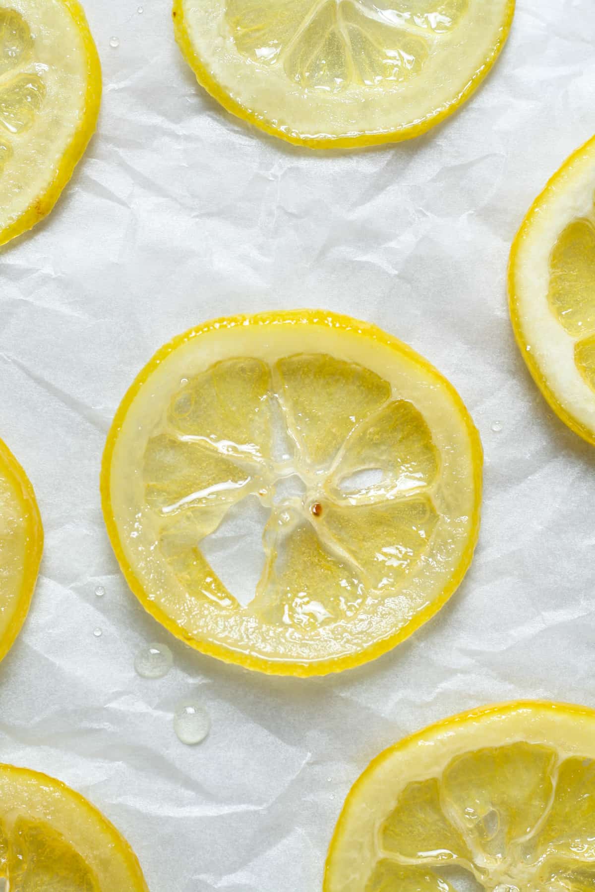 Candied Lemon Slices - Organically Addison