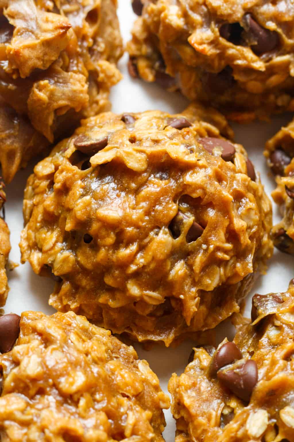 Flourless Oatmeal Cookies - Organically Addison