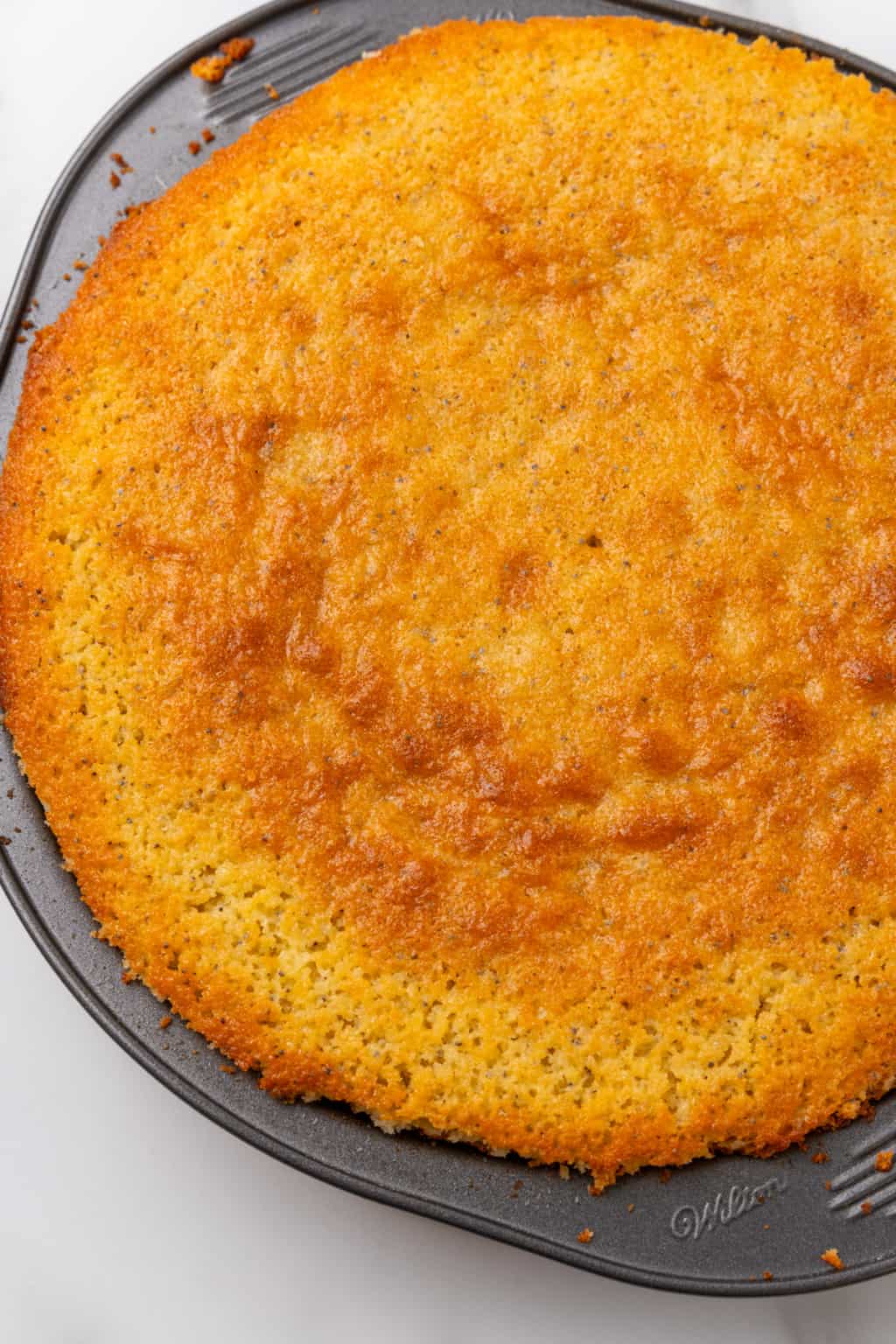 Lemon Poppy Seed Cake - Organically Addison