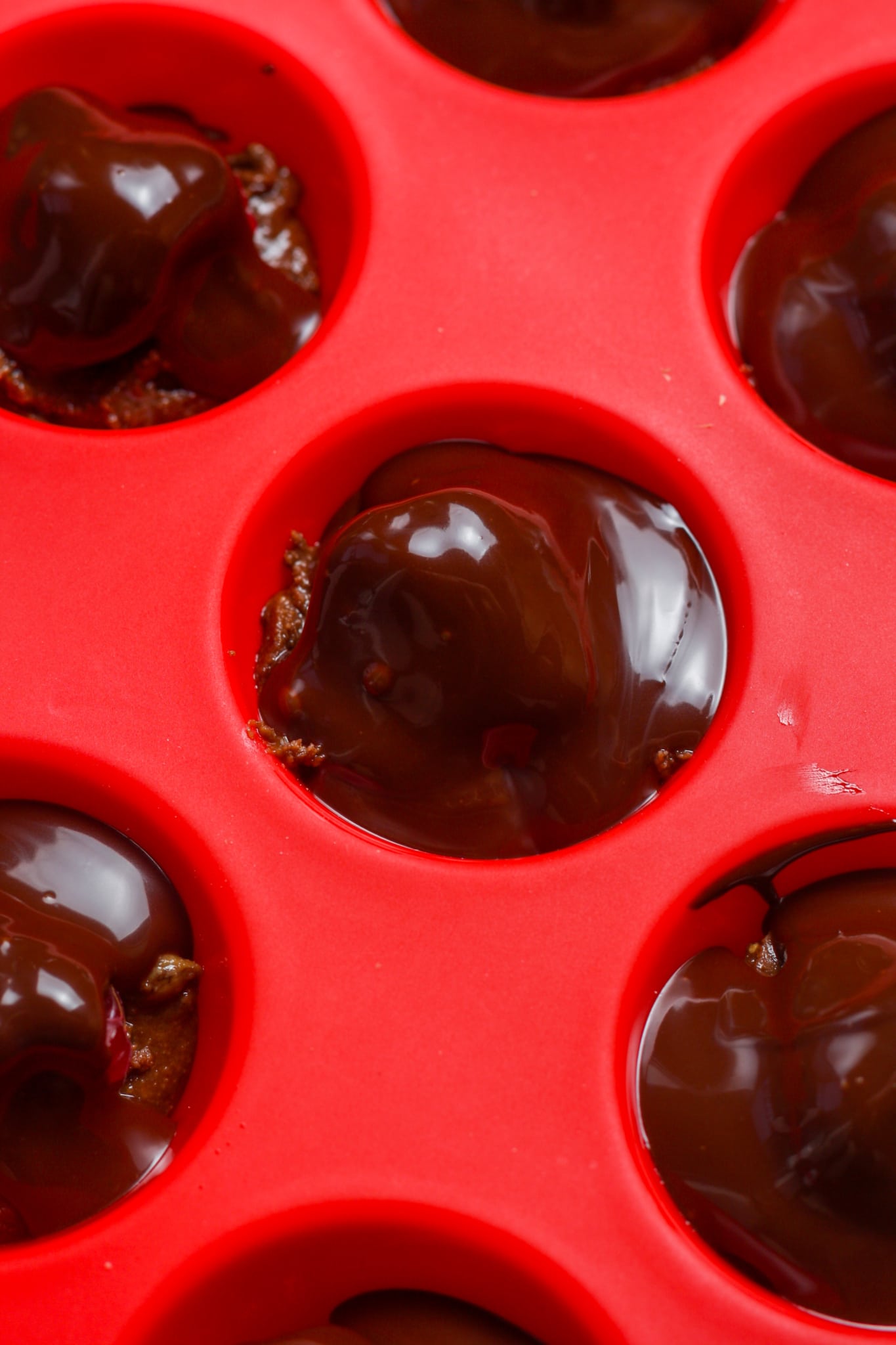 Chocolate Covered Raspberries - Organically Addison