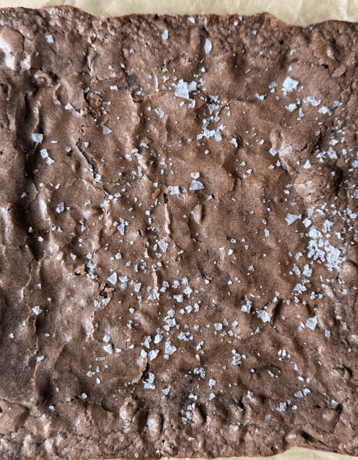 Sea Salt Brownies - Organically Addison
